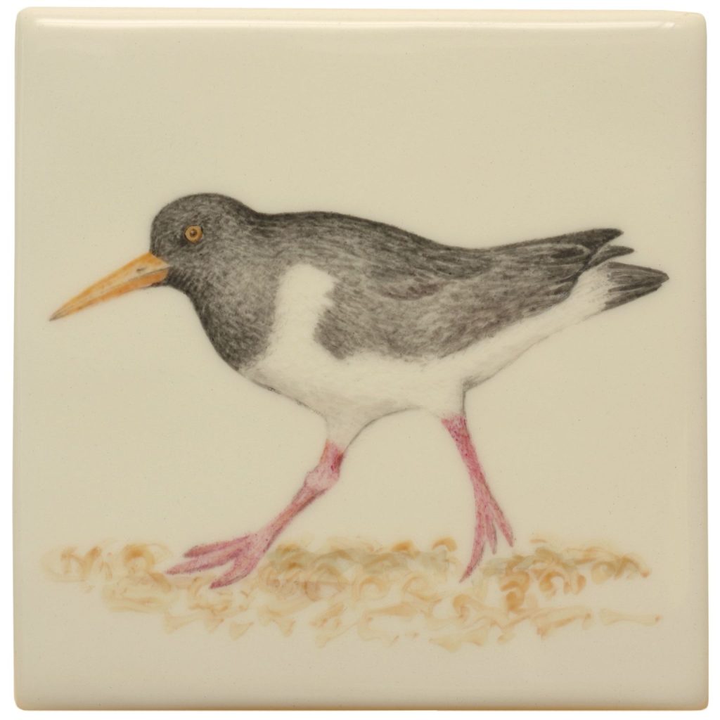 Hand Painted Tiles - Country Birds & Animals - Oyster Catcher