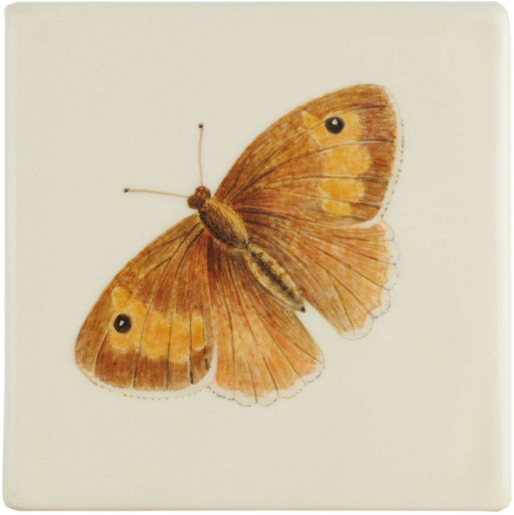 Hand Painted Tiles - Insects | Tiles of Stow
