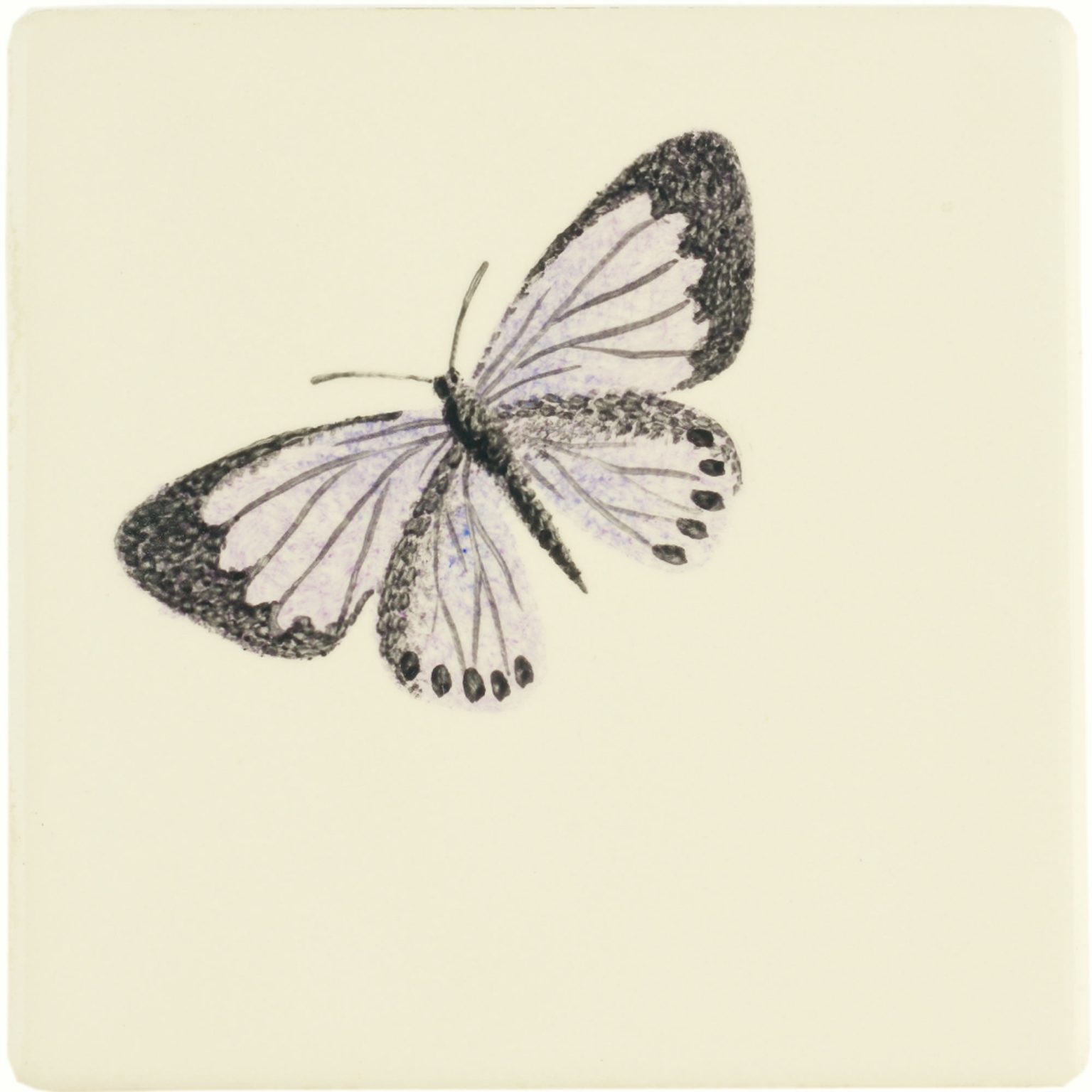 Hand Painted Tiles - Bugs & Insects | Tiles of Stow