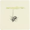 Hand Painted Tiles - Bugs & Insects | Tiles of Stow